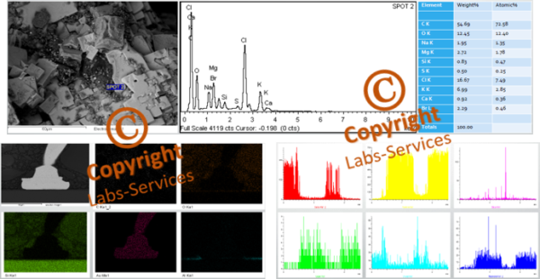EDS / EDX / XEDS for Elemental Analysis, Singapore - Labs Services