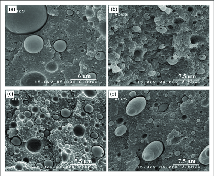 Field Emission Scanning Electron Microscopy (FESEM) - Labs Services